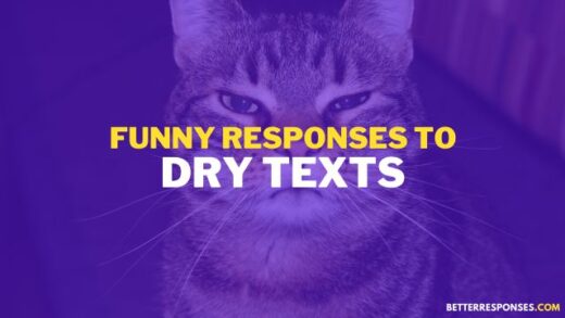 46 Funny Responses To Dry Texts That Annoy You • Better Responses