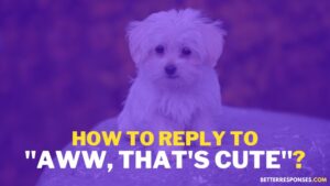 14 (Funny &) Cute Replies To “Aww” Text From Someone • Better Responses