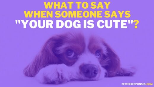 9 Good Responses To “Your Dog Is Cute” Compliment • Better Responses