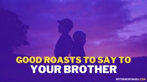 26 Good Roasts To Say To Your Brother • Better Responses