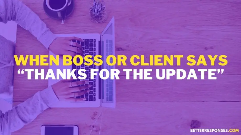 9 Better Replies To “Thanks For The Update” • Better Responses
