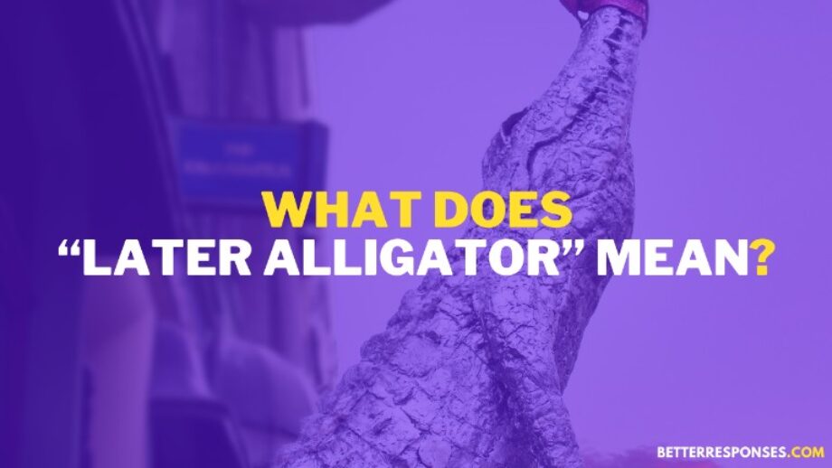8 Funny Responses To “See You Later, Alligator!” • Better Responses