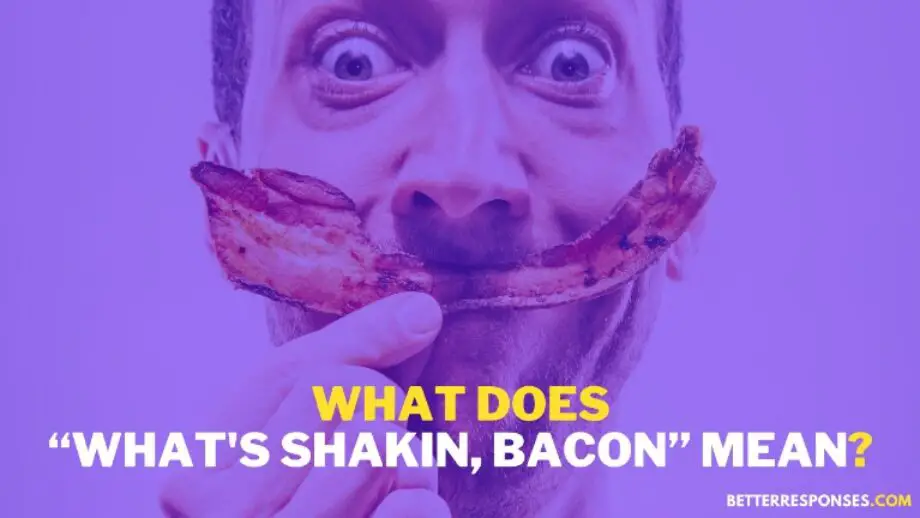 14 Best Responses To “What's Shakin Bacon?” • Better Responses